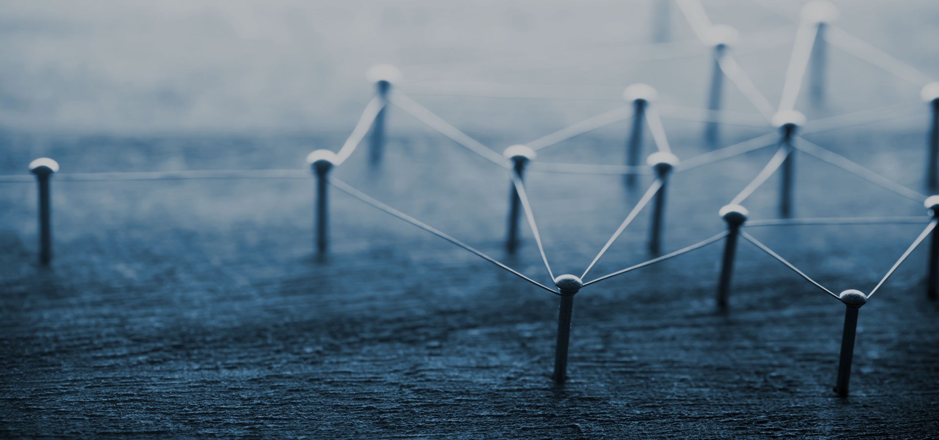 Creditsafe Connect API