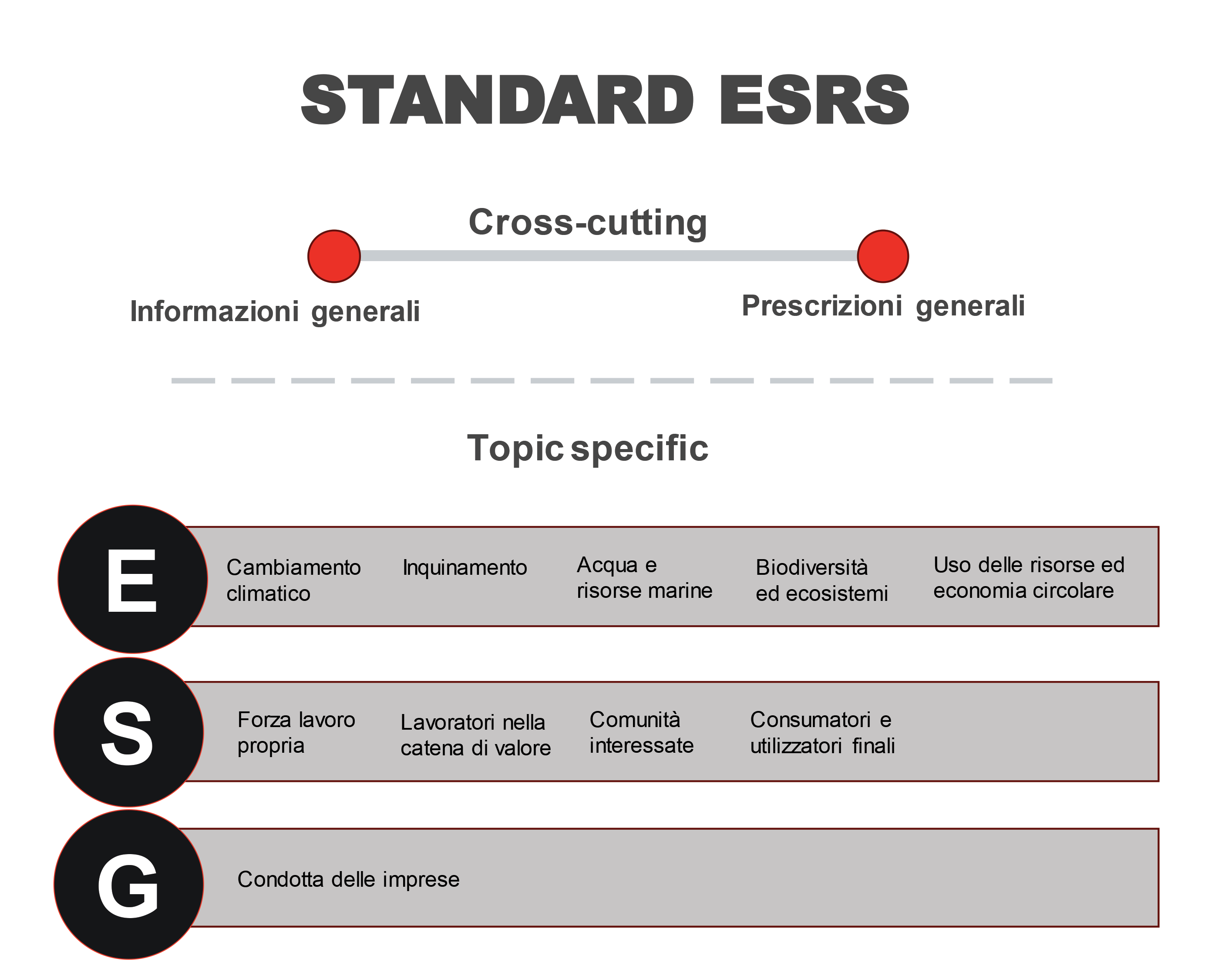 European Sustainability Reporting Standards (ESRS)