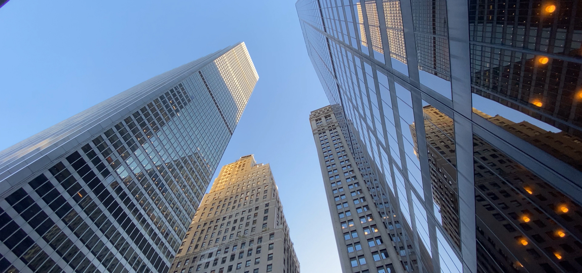 Business Credit Reports & Credit Score | Creditsafe